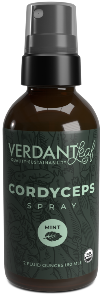 Verdant Leaf Sprays - Single Species - Cool Blue Distribution